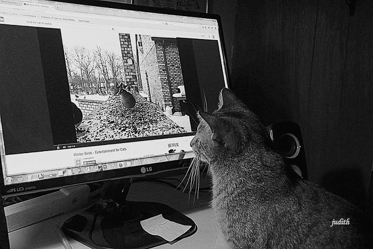 6 Ways Technology Is Helping To Improve Video Entertainment | Socialnomics